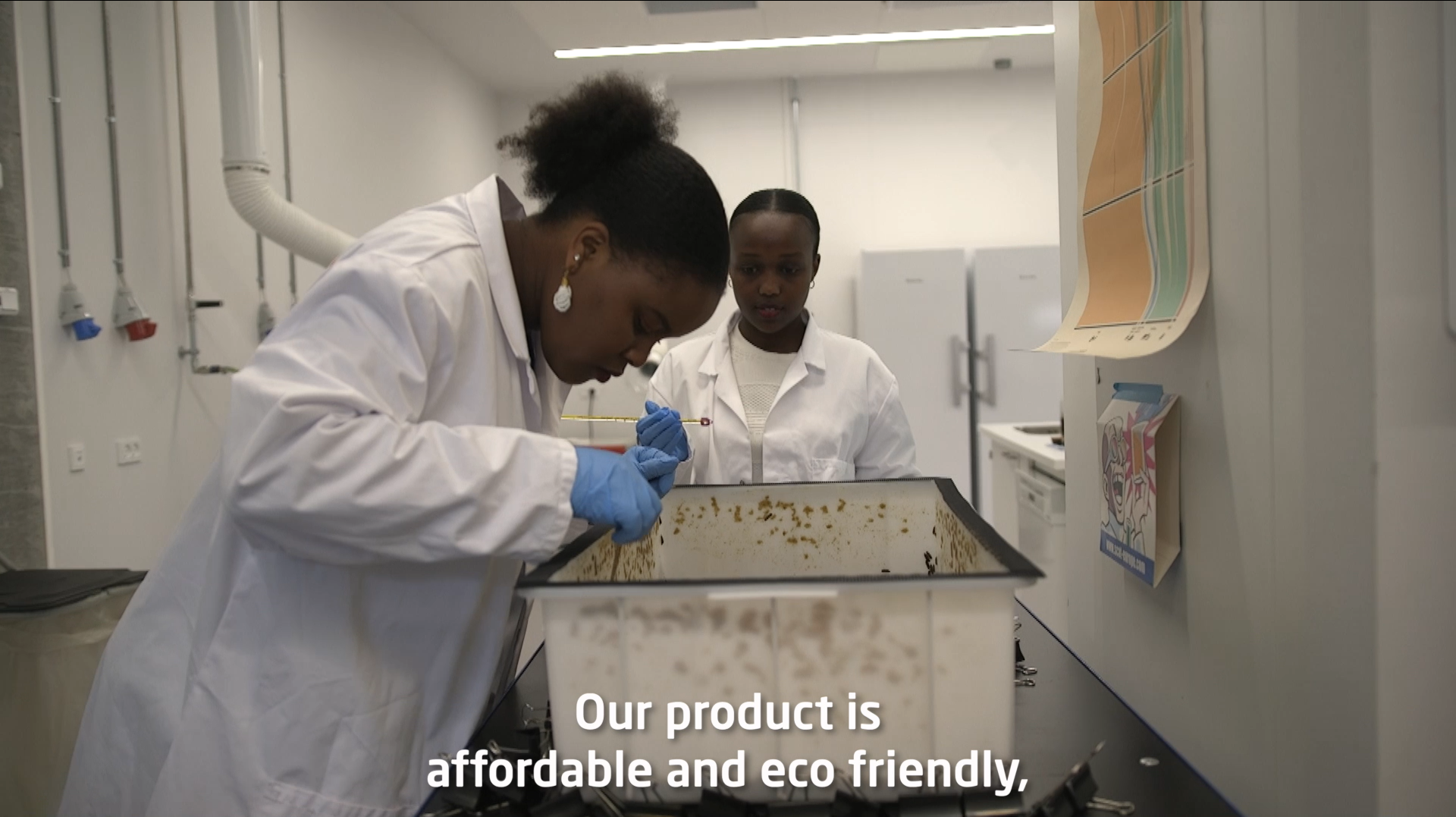 Envirofly - BSF larvae and Bio-fertiliser producer in Kenya